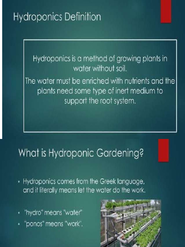 HYdroponics 2 | PDF