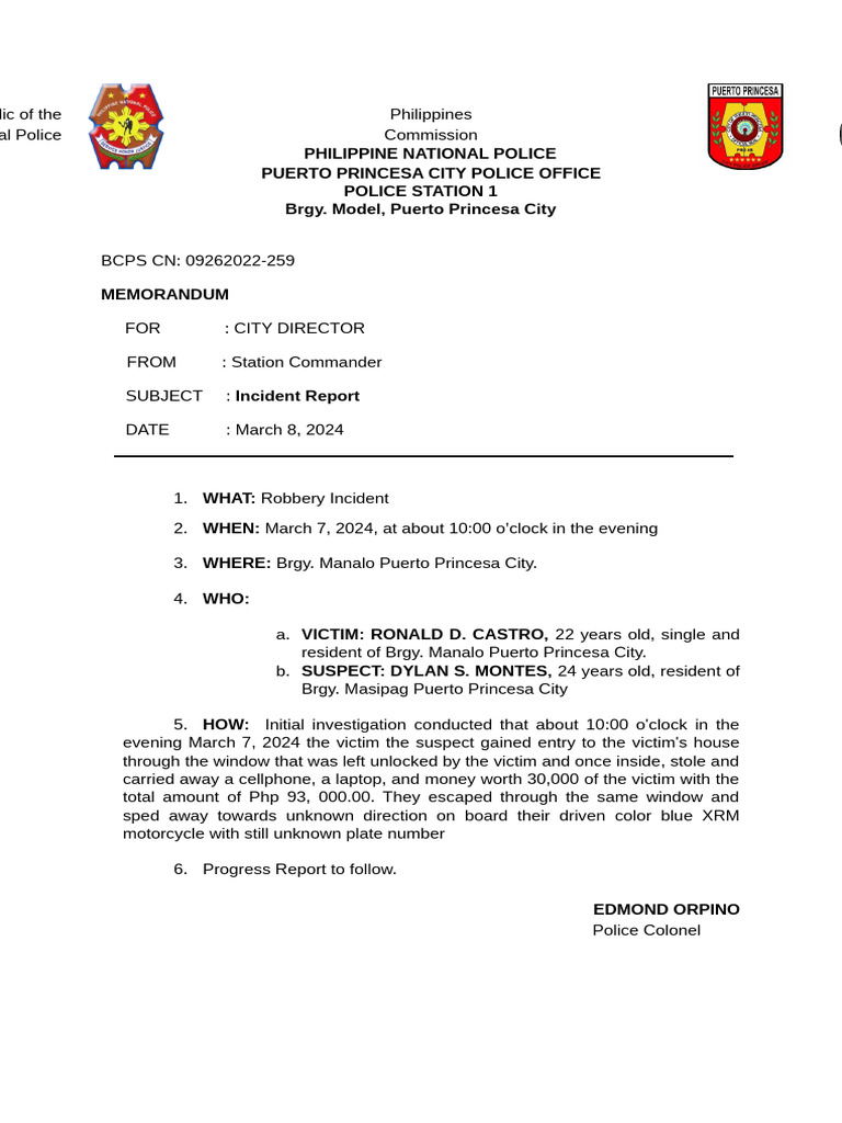 Robbery Incident Report: March 7, 2024 | PDF | Mystery, Thriller ...