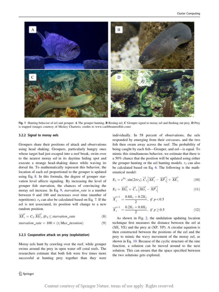 Original Article - EGO - Eel - and - Grouper - Optimizer - A - Nature-Inspired - Optimi - 8 | PDF