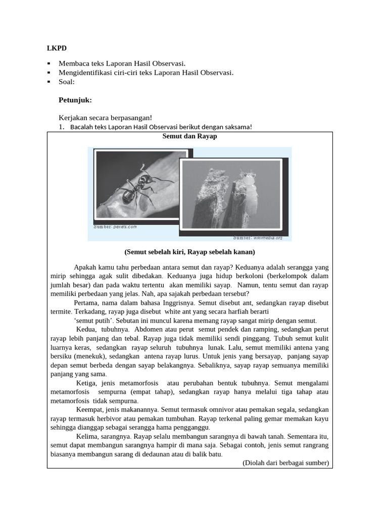 Perbandingan Semut dan Rayap | PDF | Seni & Disiplin Bahasa | Sains ...
