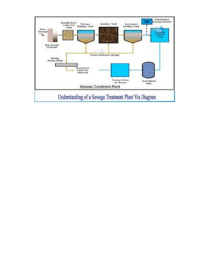 STP Flow Diagram | PDF