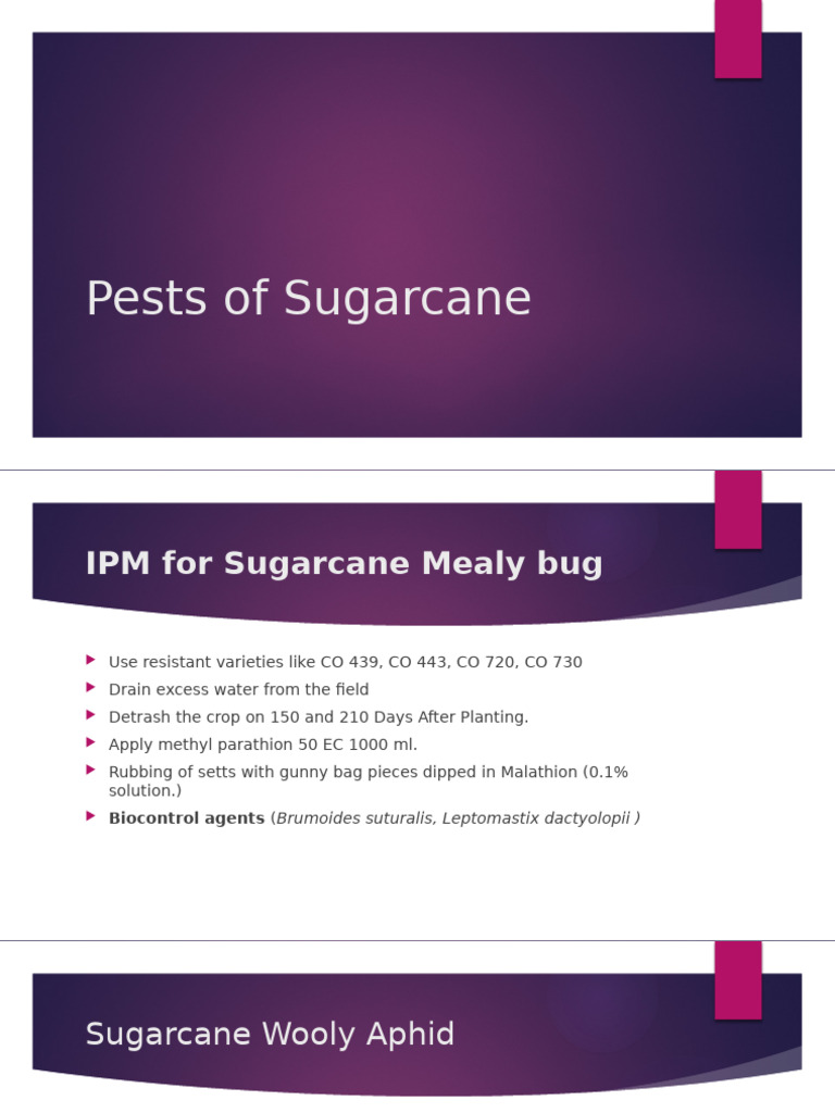 128-Pests of Sugarcane | PDF | Science & Mathematics