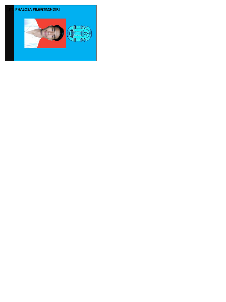 Id Card Pt. Phalosa | PDF