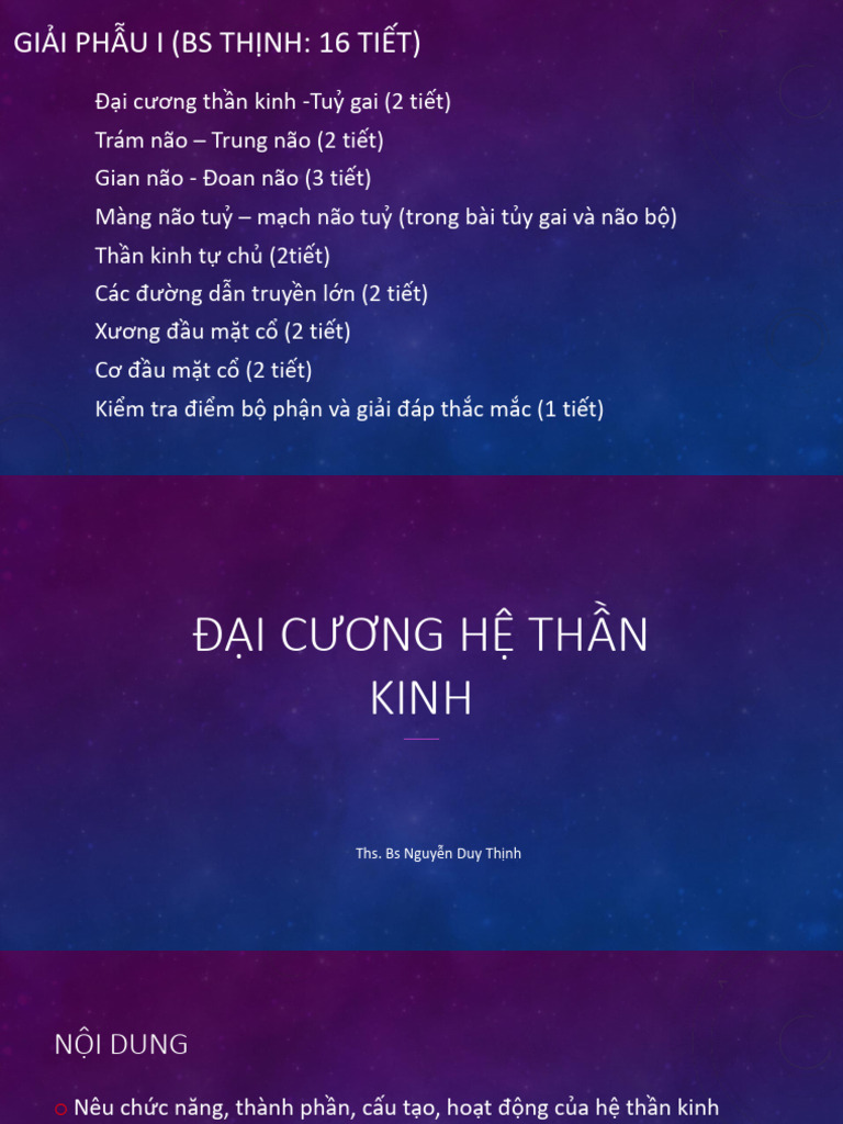 1-Gp1-Tuỷ Gai | PDF