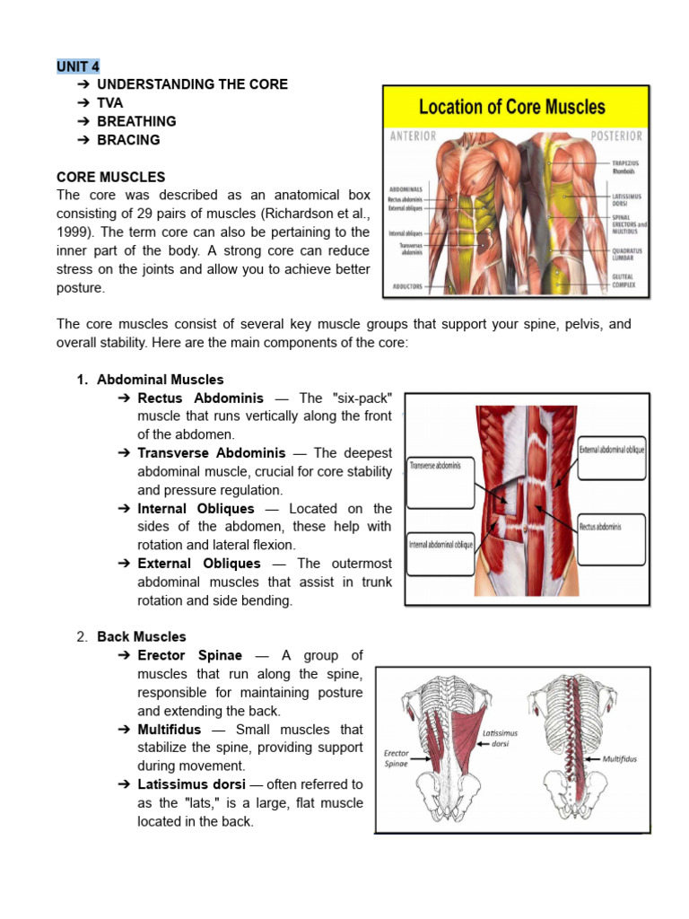 TVA Activation and Core Stability Guide | PDF | Abdomen | Breathing