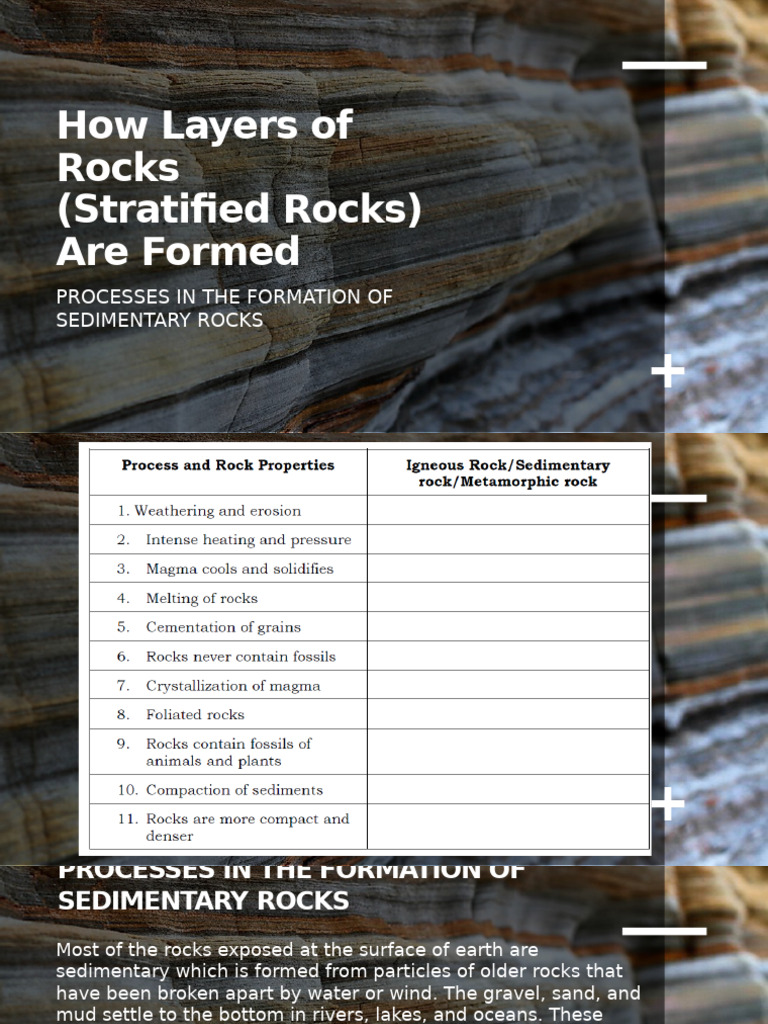 Sedimentary Rocks | PDF | Sedimentary Rock | Stratigraphy Sedimentary Rocks | PDF | Sedimentary Rock | Stratigraphy