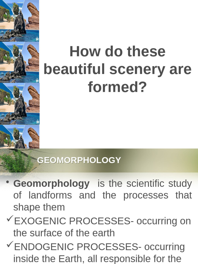 Exogenic Processes | PDF | Weathering | Landslide