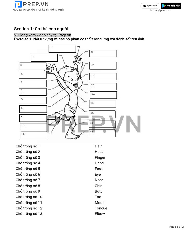 BTCo The Con Nguoi | PDF