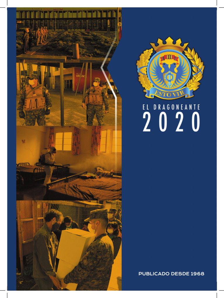 Revista El Dragoneante 2020 | PDF | Maestros | Aprendizaje