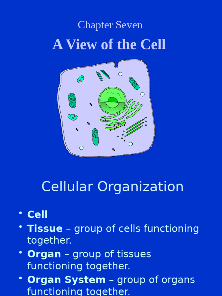 Cell Part1 | PDF | Cell (Biology) | Endoplasmic Reticulum
