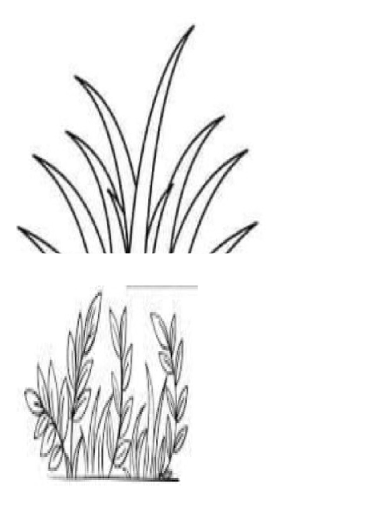 Mewarnai Rumput | PDF