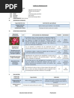 Sesion - de - Aprendizaje Clasificacion de Las Plantas | PDF | Plantas ...