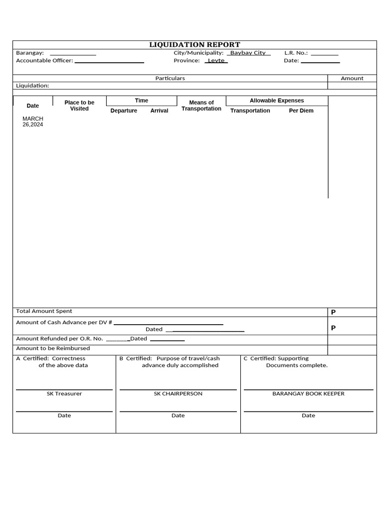 Liquidation Report | PDF