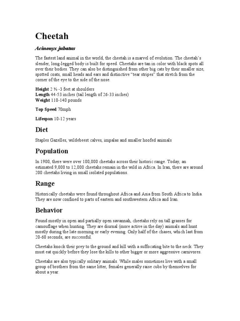 Cheetah | PDF | Mammals Of Africa | Nature