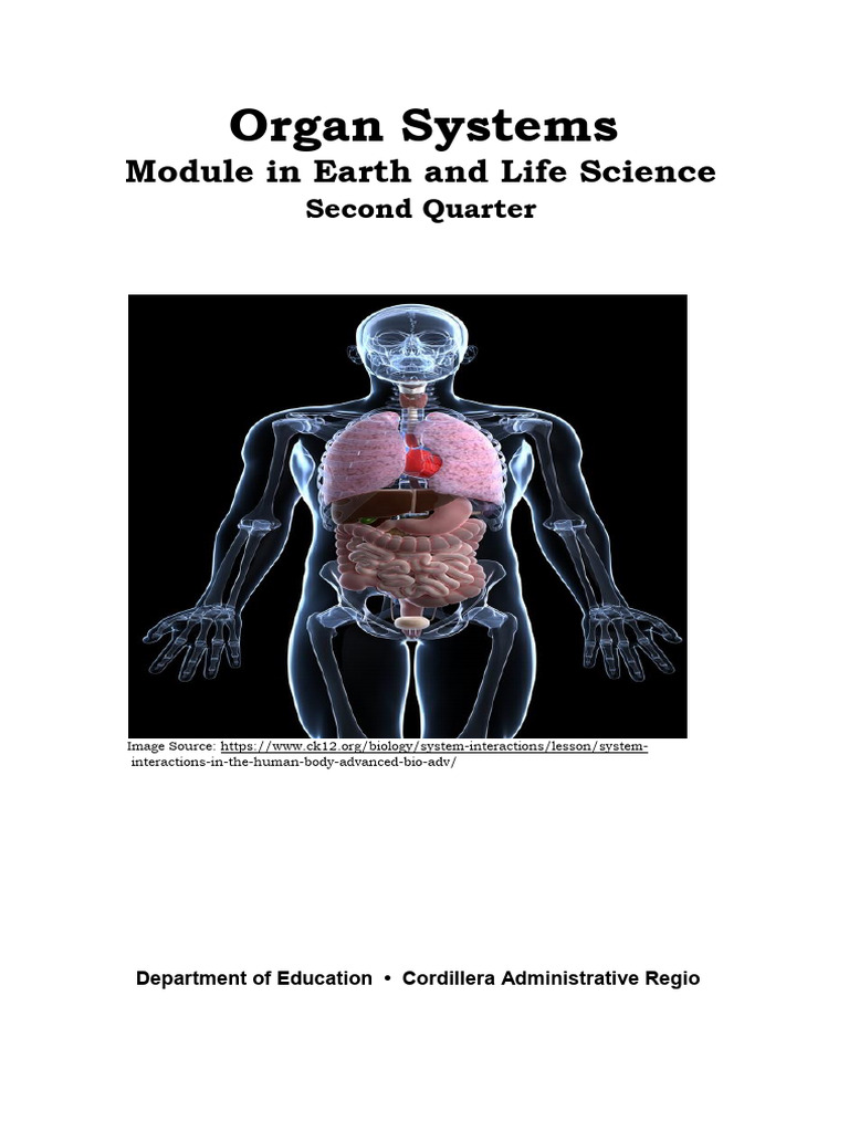 ELS11 Q2 Wk5 ORGAN-SYSTEM-Ifugao Lingayo | PDF | Human Body | Digestion