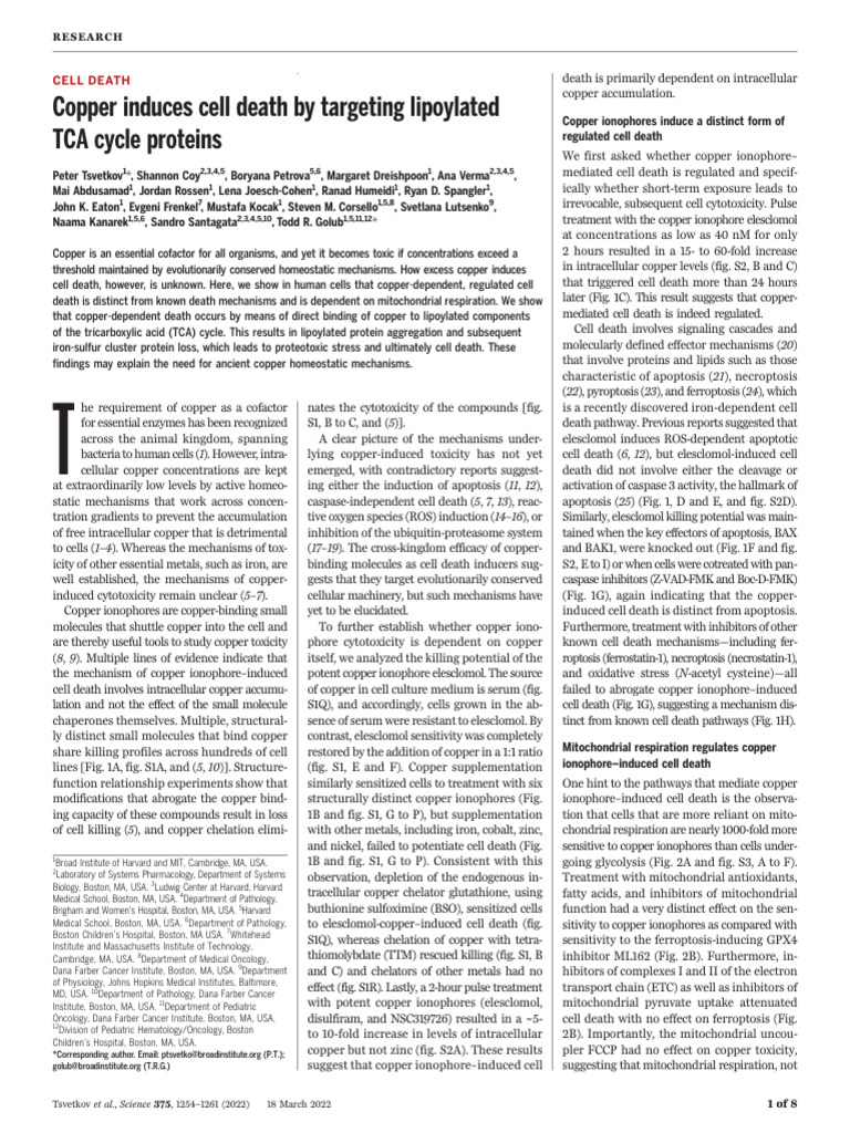 Copper Induces Cell Death by Targeting Lipoylated TCA Cycle Proteins ...