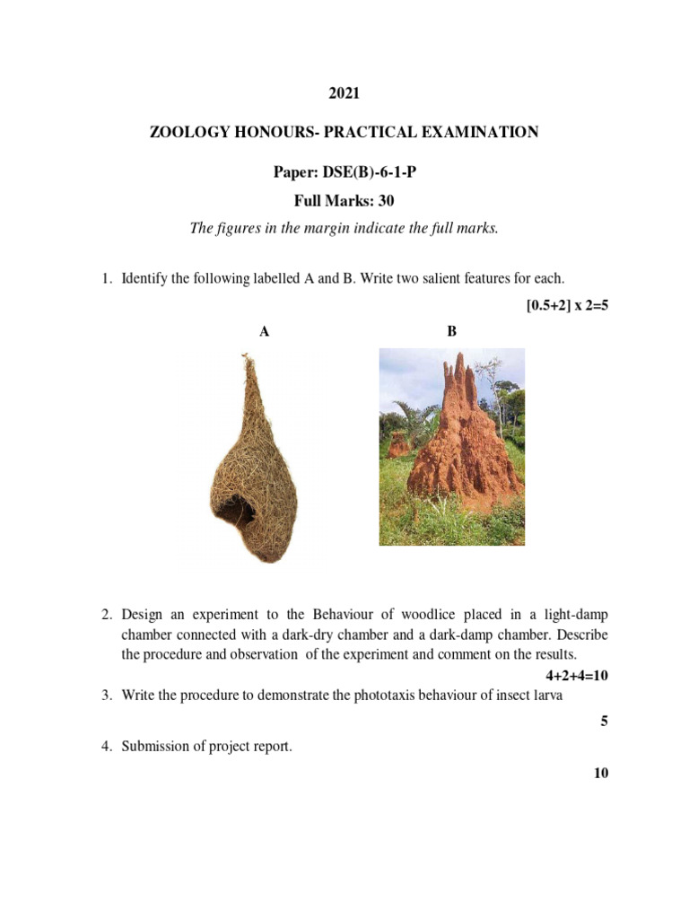 Zoology Honours Practical Exam Guide | PDF