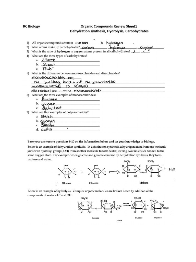 Done - Biology-Carbohydrates - Review Sheet PDF | PDF