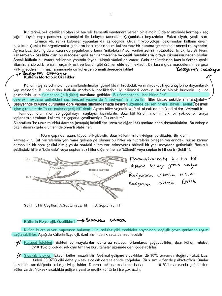 3 Funguslar - 240403 - 164124 | PDF