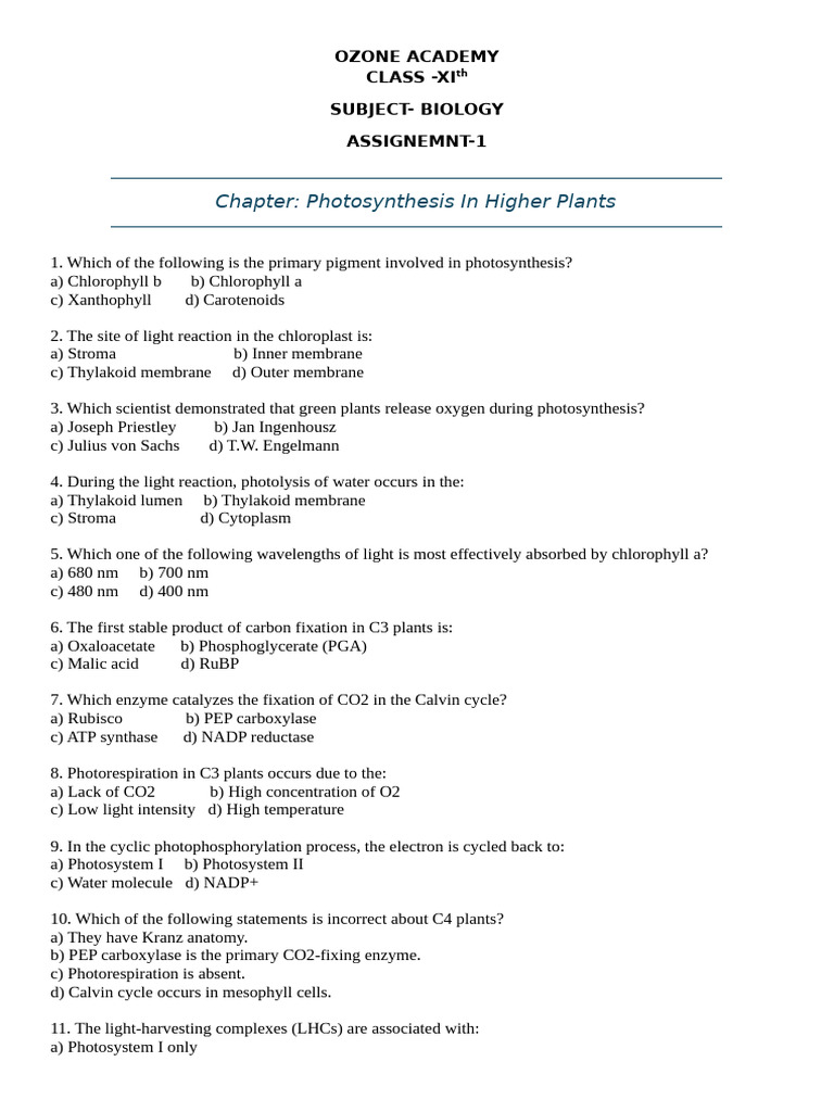 Photosynthesis Assignment for Class XI Biology | PDF | Photosynthesis ...
