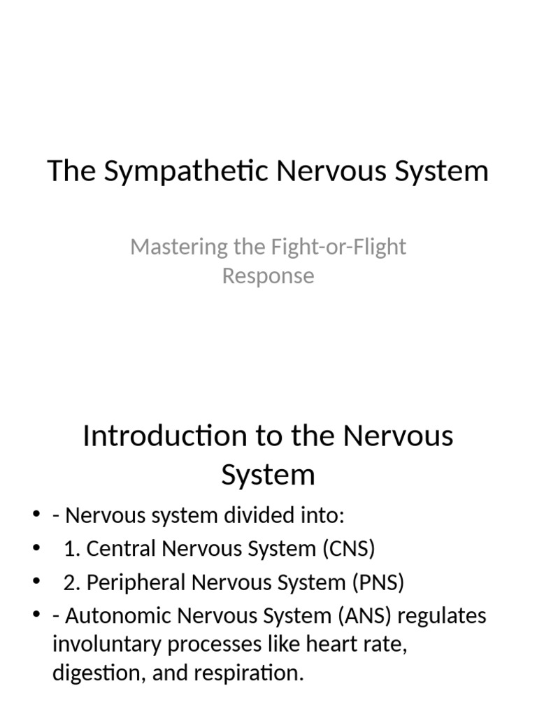Understanding the Sympathetic Nervous System | PDF | Autonomic Nervous ...