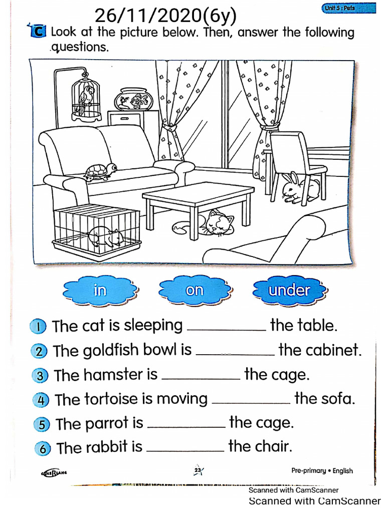 English Worksheet | PDF