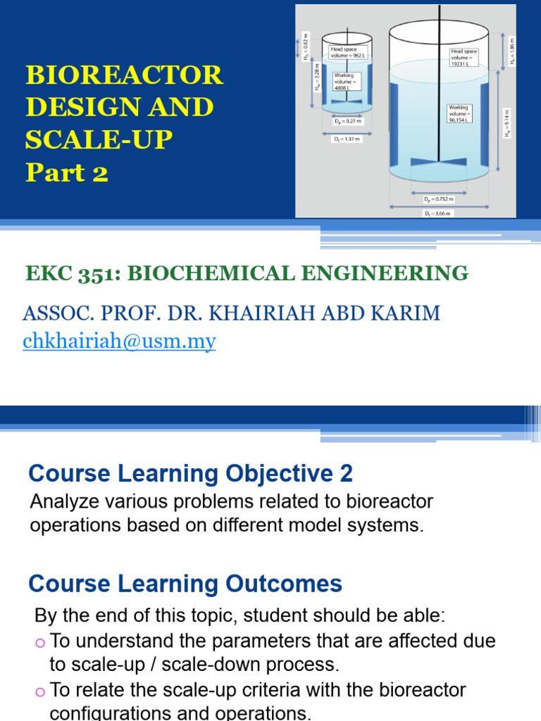 Bioreactor Design and Scale Up of Bioprocess Systems Part 2 | PDF ...