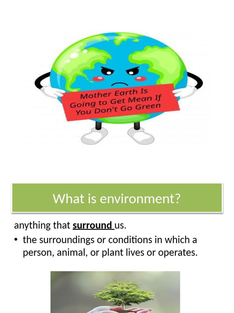 Environment | PDF
