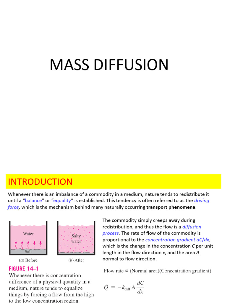 Presentation 11 | PDF | Diffusion | Gases