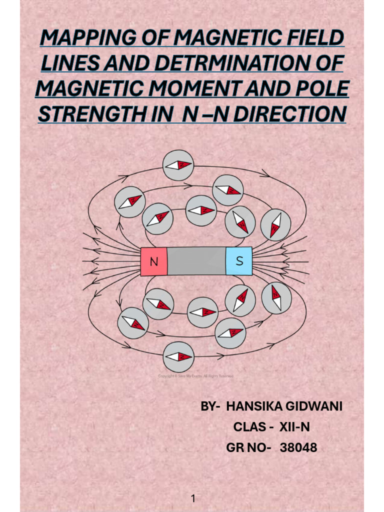 Phy Papa With Cal | PDF | Magnetic Field | Electric Field