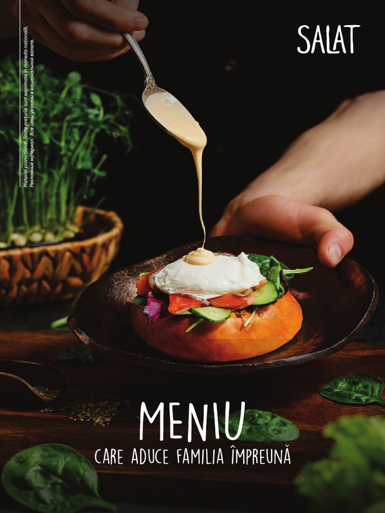 Meniu Principal | PDF