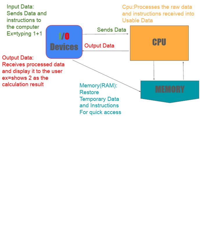 Basic Organization of Computer System | PDF | Computers