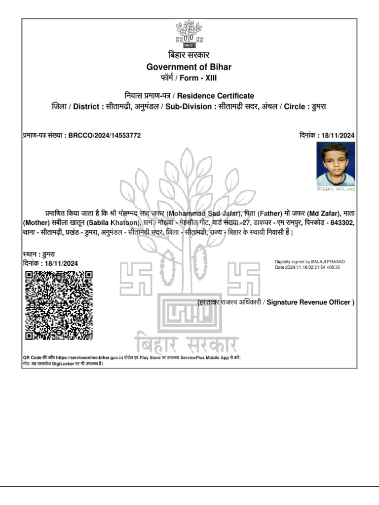 Brcco 2024 14553772 | PDF