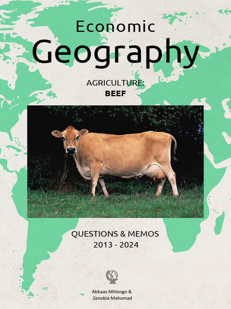 Beef - Economic Geography | PDF