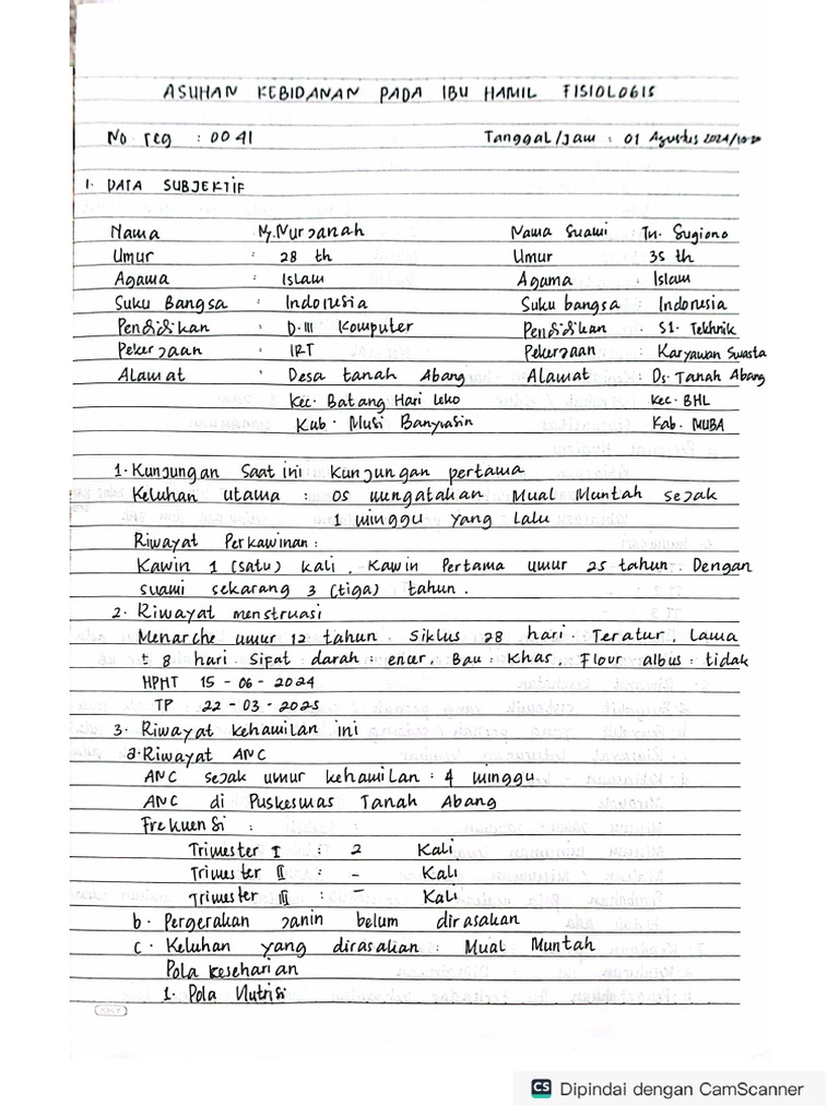 Askeb Pada Ibu Hamil 3 | PDF