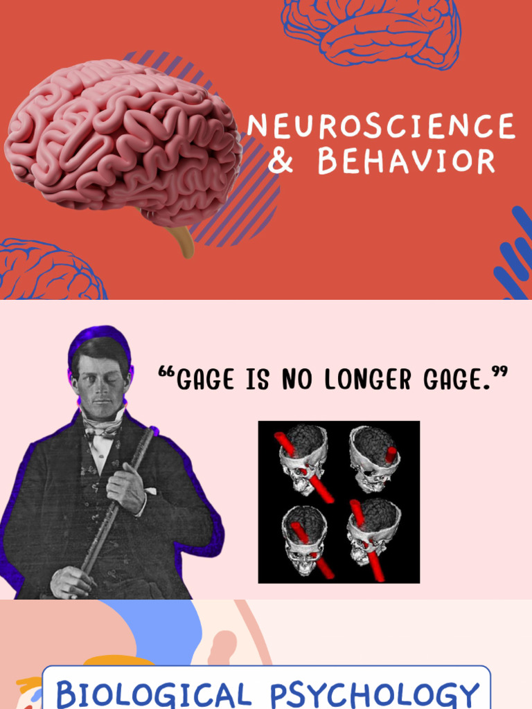 Lesson 2 - Neuroscience and Behavior | PDF
