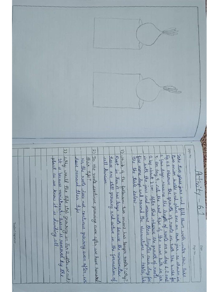 Biology Class 9 Practical Notes | PDF