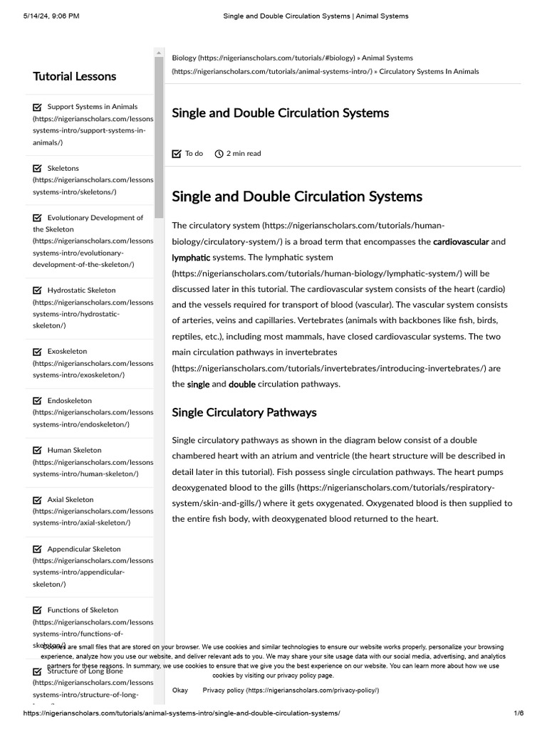 Single and Double Circulation Systems - Animal Systems | PDF | Skeleton ...