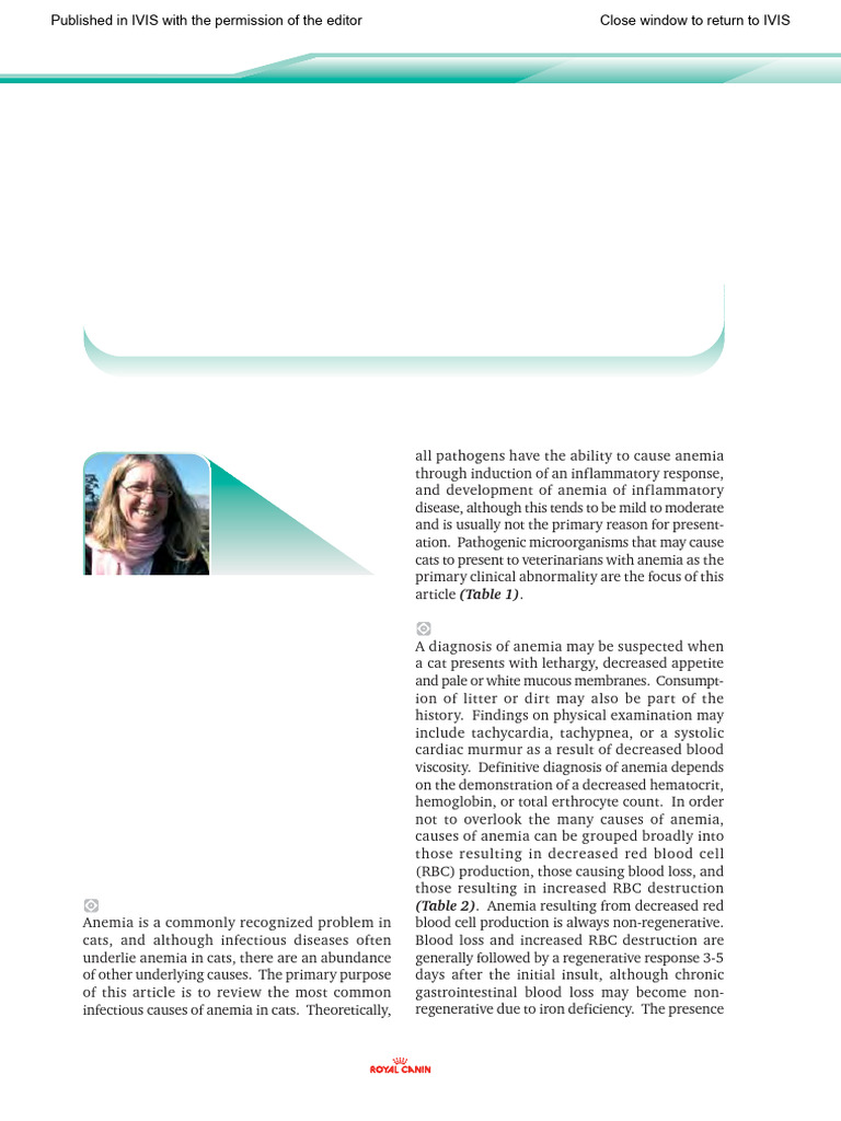 Infect Causes of Anemy in Cats | PDF | Anemia | Infection