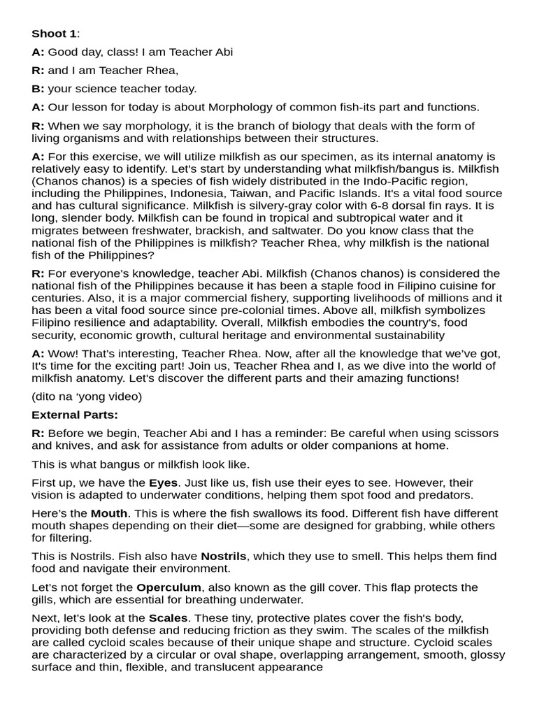 AF-SCRIPT | PDF | Gill | Digestion