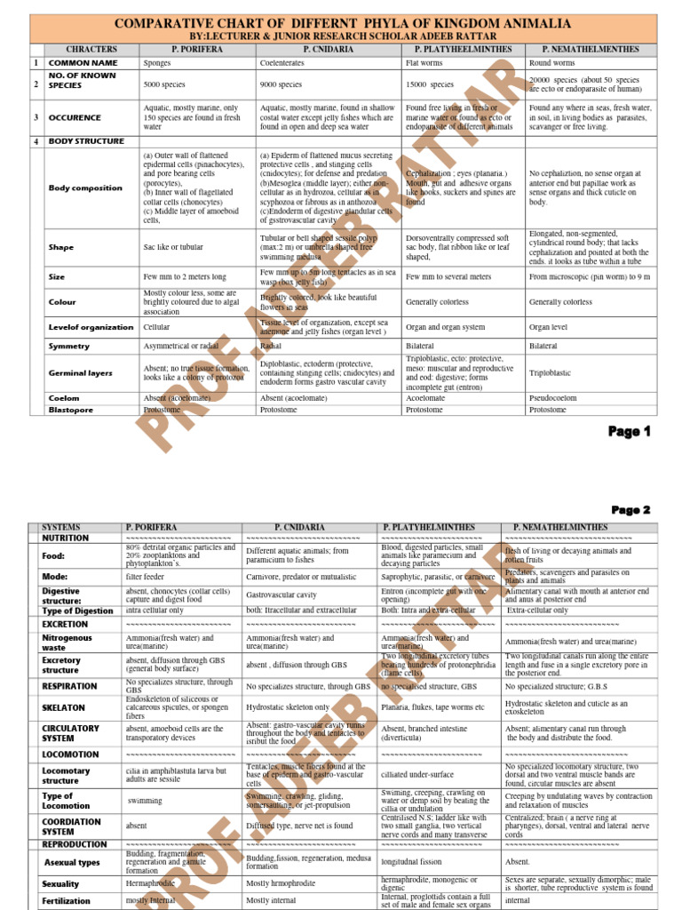 Kingdom Animalia Comparative Chart | PDF | Skeleton | Excretion