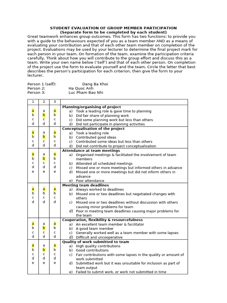 Group Member Participation Evaluation Form | PDF | Social Psychology