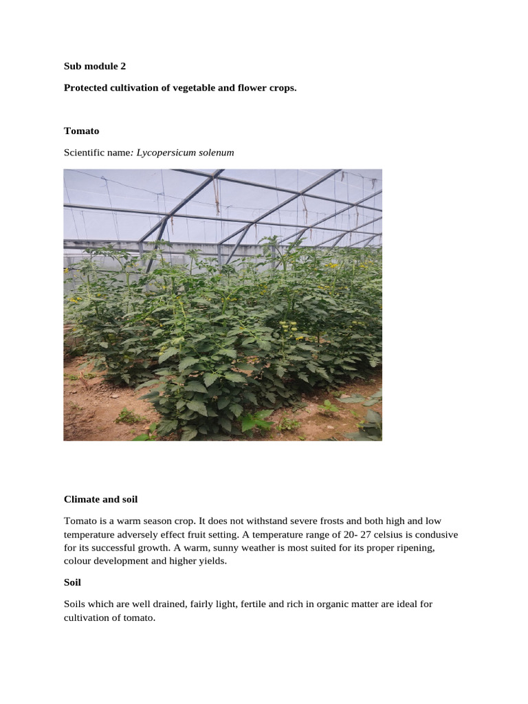 Sub Module 2 | PDF | Tomato | Manure