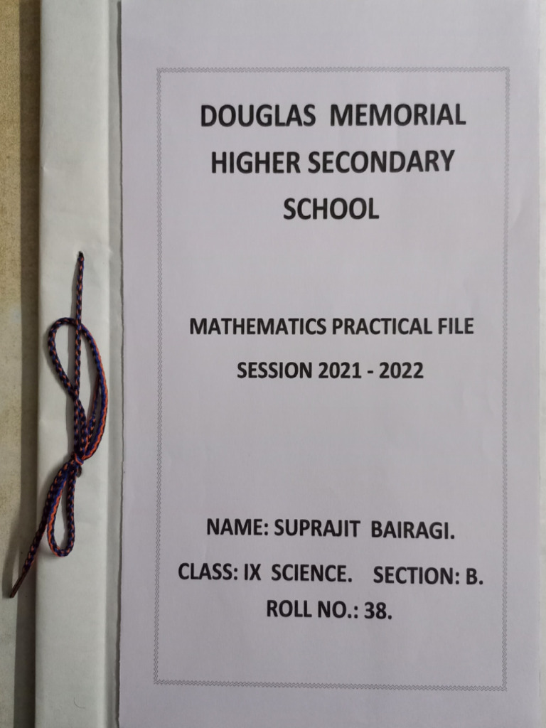 Maths Annual Project Class IX | PDF