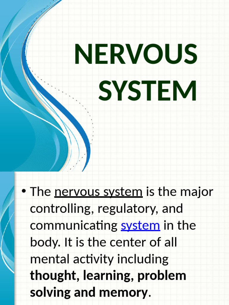 NS complete | PDF | Nervous System | Nerve