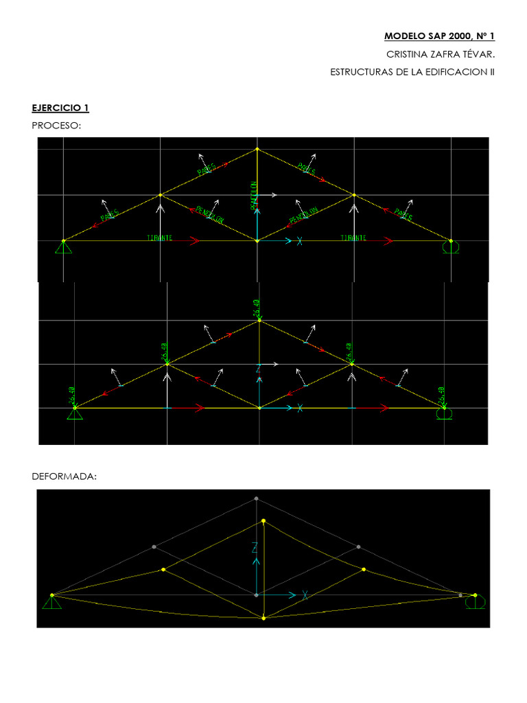 Modelo Sap Nº1 | PDF | Informática | Tecnología