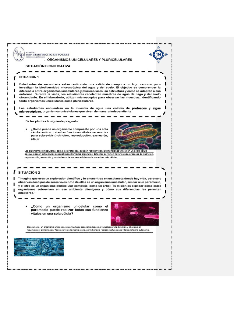 Diferencias entre unicelulares y pluricelulares | PDF | Organismos ...