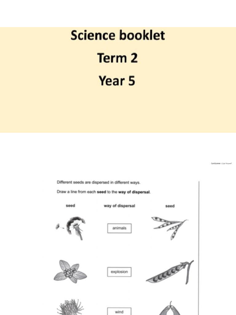 Science Y5 t2 - 240925 - 081639 | PDF