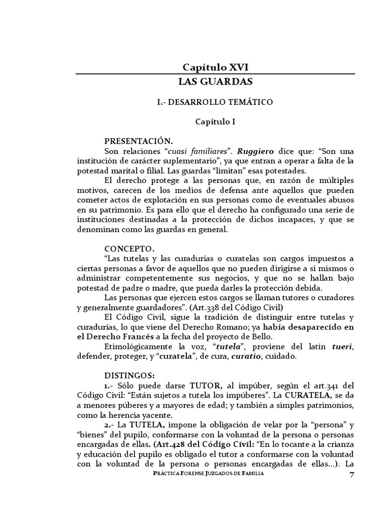 Las Guardas | PDF | Guardián legal | Caso de ley