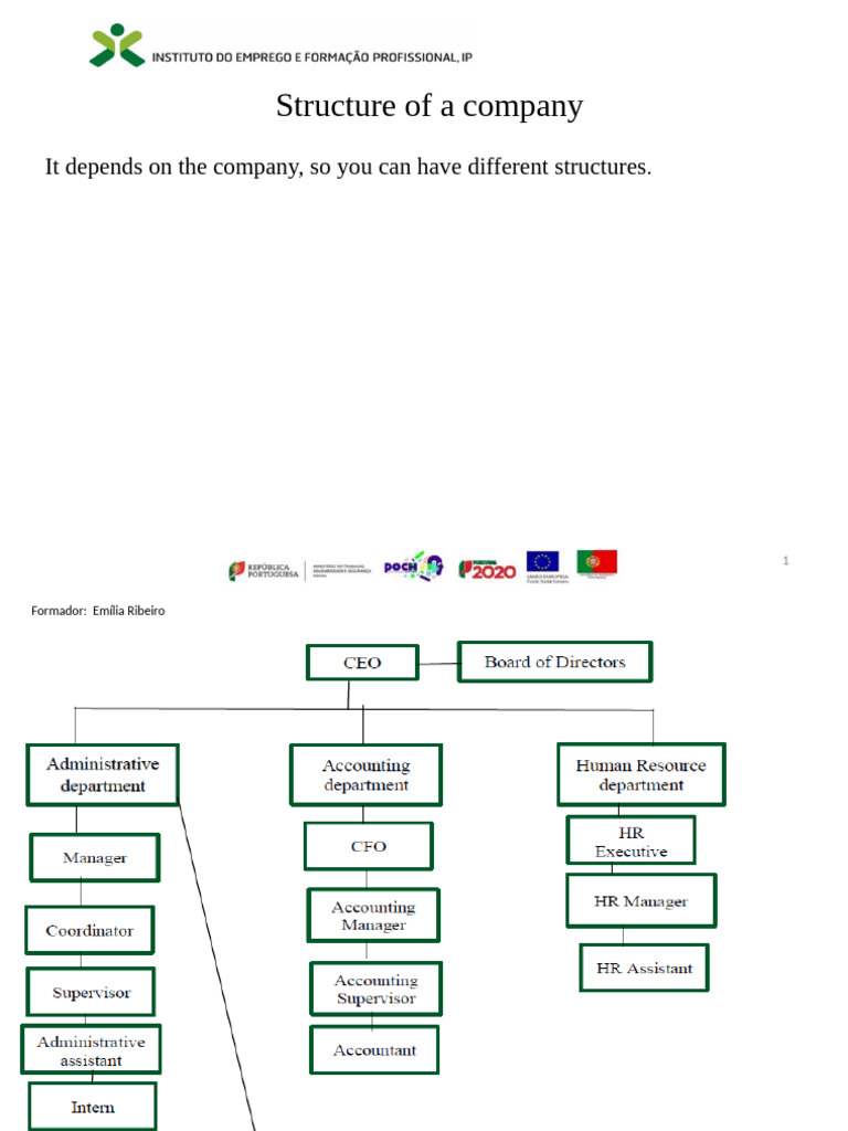 Structure of A Company | PDF | Diretor-Geral | Business